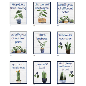 Classroom Posters - Houseplants | Made By Teachers