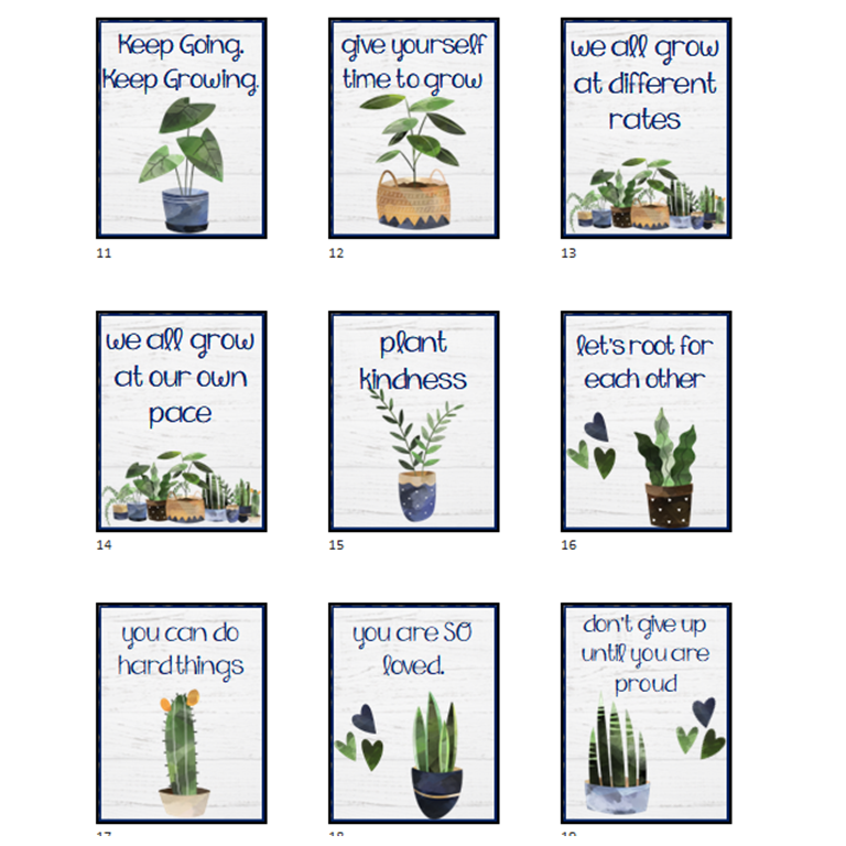 Classroom Posters - Houseplants | Made By Teachers