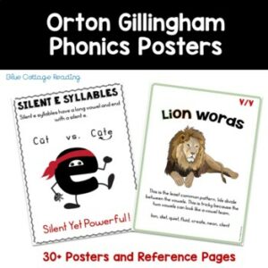 Orton Gillingham Phonics Posters | Made By Teachers