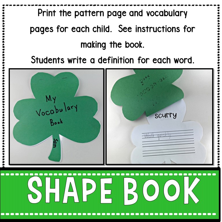 Leprechaun on the Loose Book Study Unit & Lesson Plans for 1st & 2nd ...