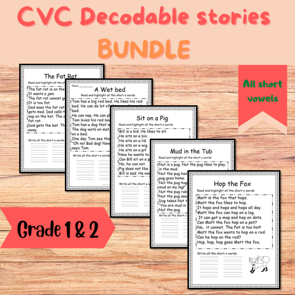 CVC Decodable Passage and Stories | Made By Teachers