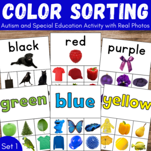 Color Sorting Activity for Autism and Special Education Set 1 | Made By ...