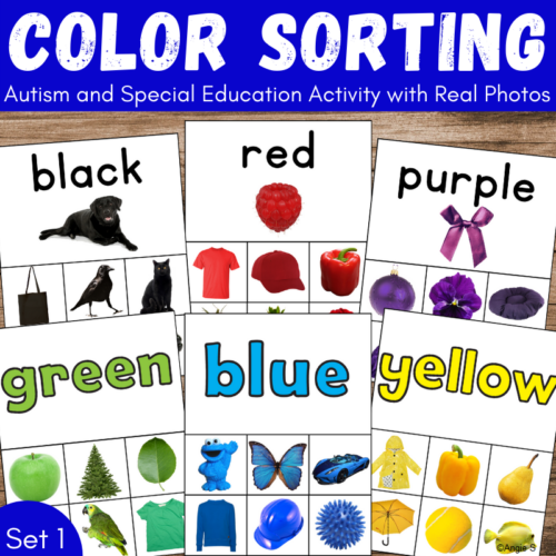 Color Sorting Activity for Autism and Special Education Set 1 | Made By ...