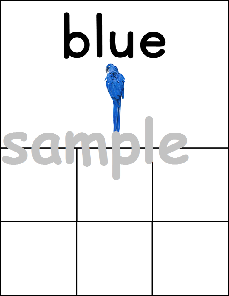 Color Sorting Activity for Autism and Special Education Set 1 | Made By ...