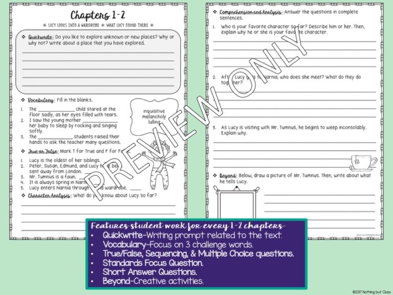 The Lion, the Witch, and the Wardrobe Novel Study Unit | Comprehension ...