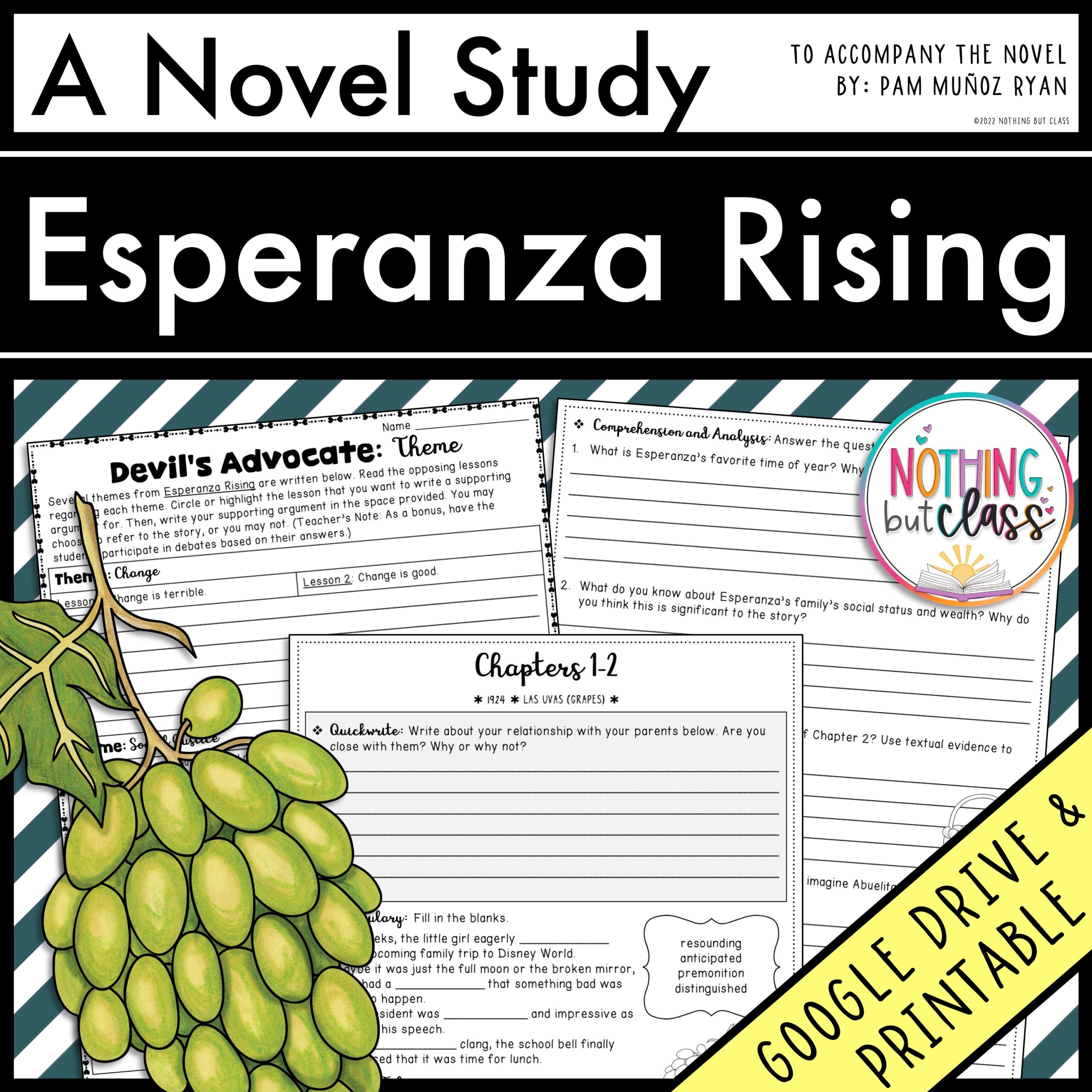 Esperanza Rising Novel Study Unit | Comprehension with Activities and ...