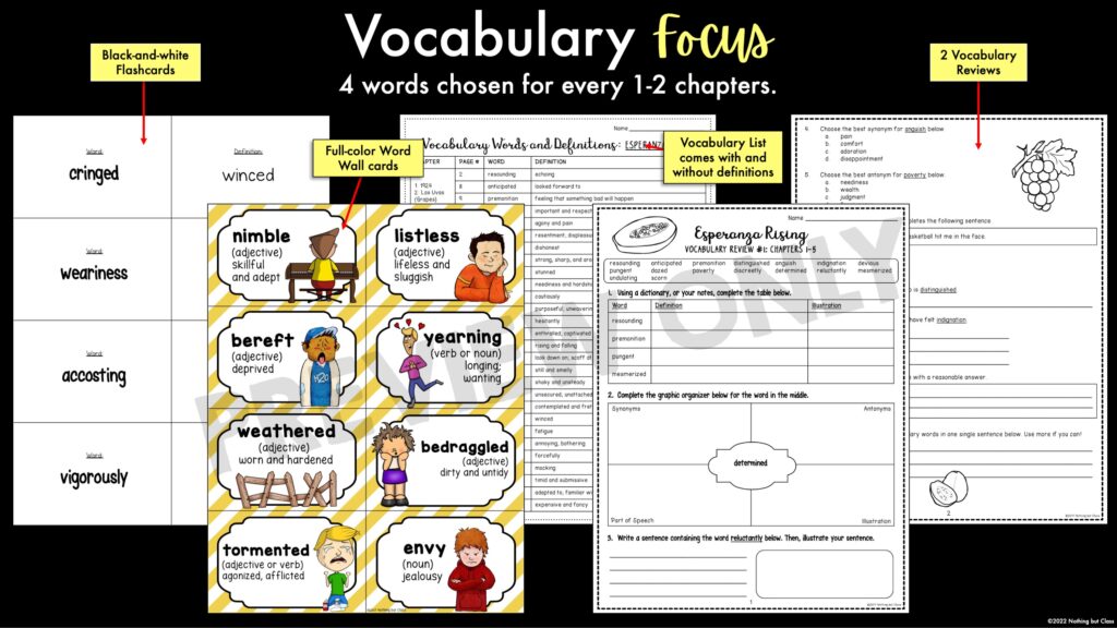 Esperanza Rising Novel Study Unit | Comprehension with Activities and ...