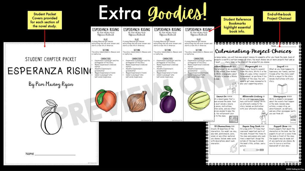 Esperanza Rising Novel Study Unit | Comprehension with Activities and ...