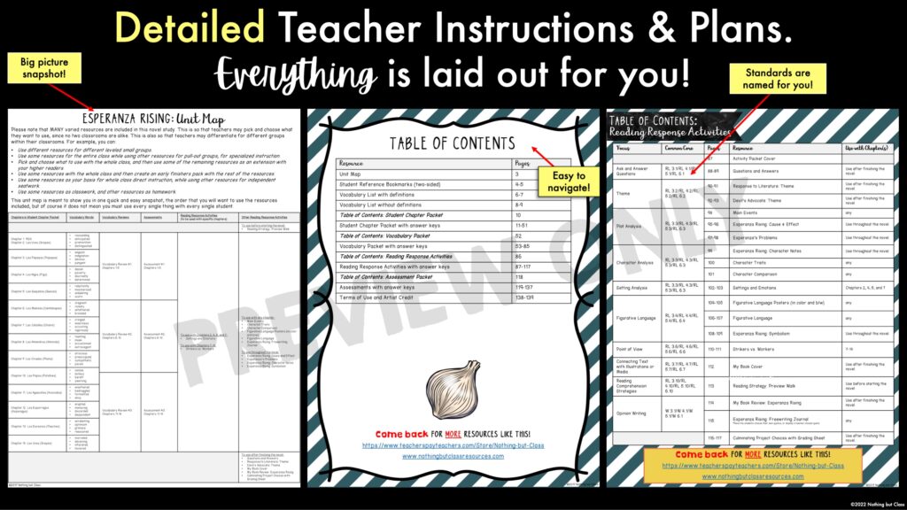 Esperanza Rising Novel Study Unit | Comprehension with Activities and ...