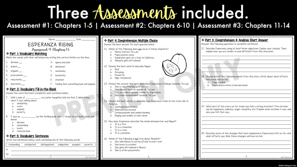 Esperanza Rising Novel Study Unit | Comprehension with Activities and ...