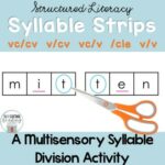 Syllable Division Strips Orton Gillingham | Made By Teachers