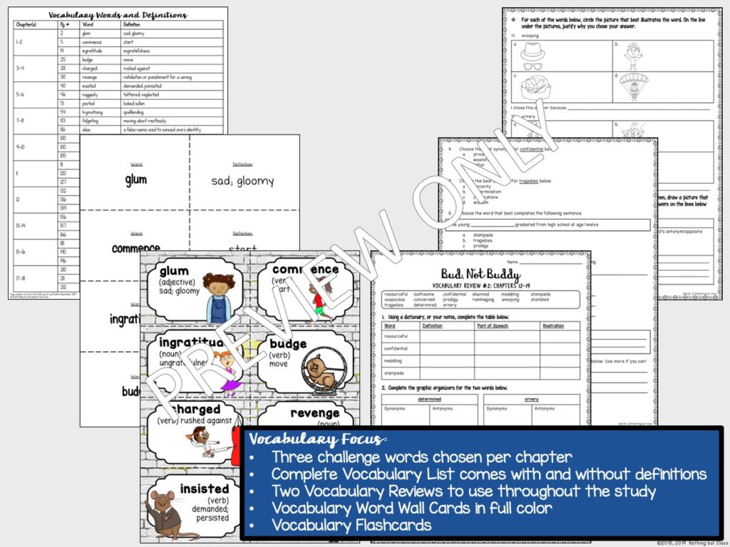 Bud, Not Buddy Novel Study Unit | Comprehension with Activities and ...