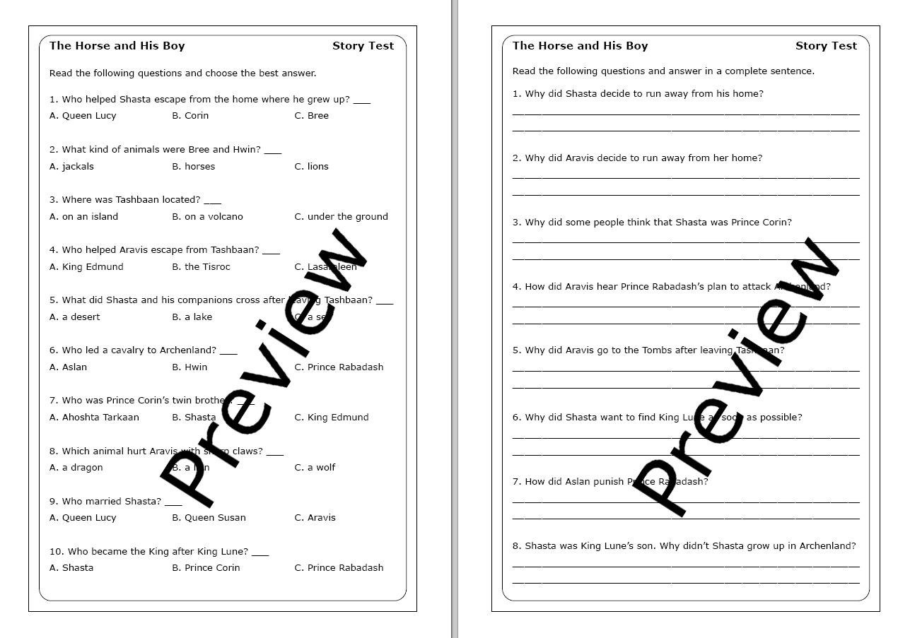 C. S. Lewis "The Horse and His Boy" worksheets | Made By Teachers