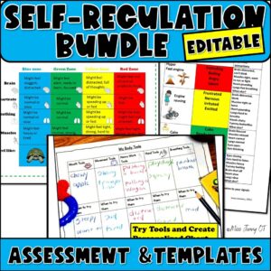 Self Regulation Check In Tools and Sensory Diet Template BUNDLE | Made ...