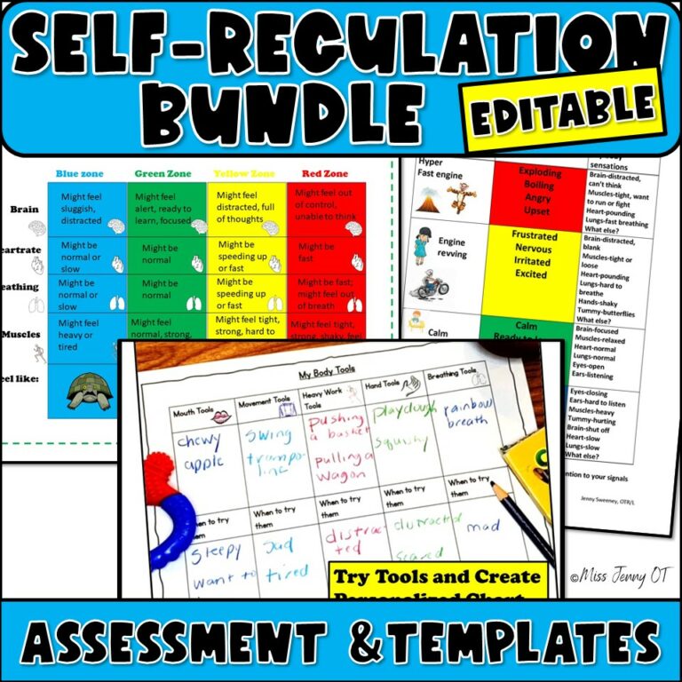 Self Regulation Check In Tools and Sensory Diet Template BUNDLE | Made ...