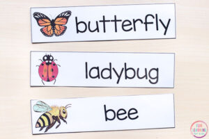 Insect Activities Theme for Math and Literacy Centers - Preschool ...