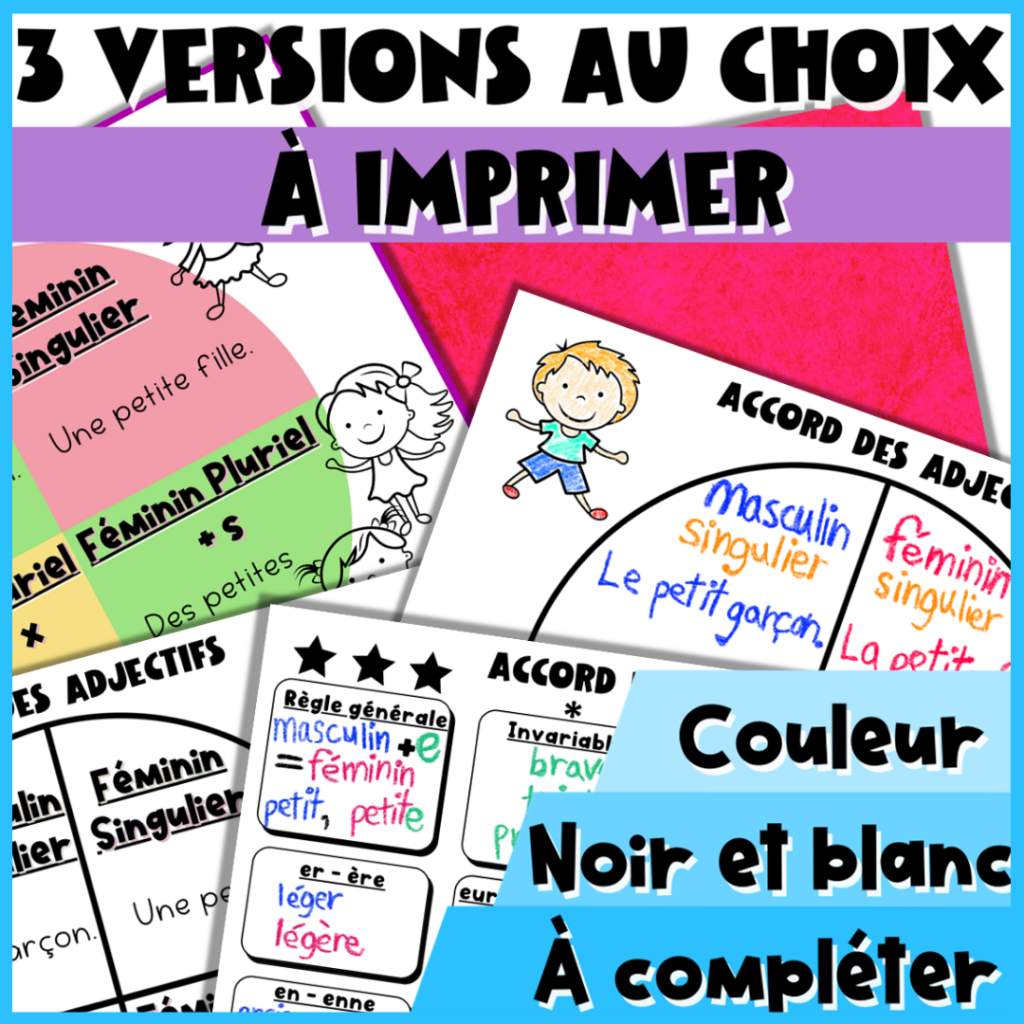 French Adjectives lists gender number agreement Descriptive writing ...