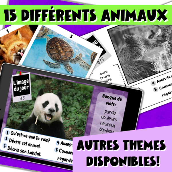 French Image description daily discussion writing prompts routine ...