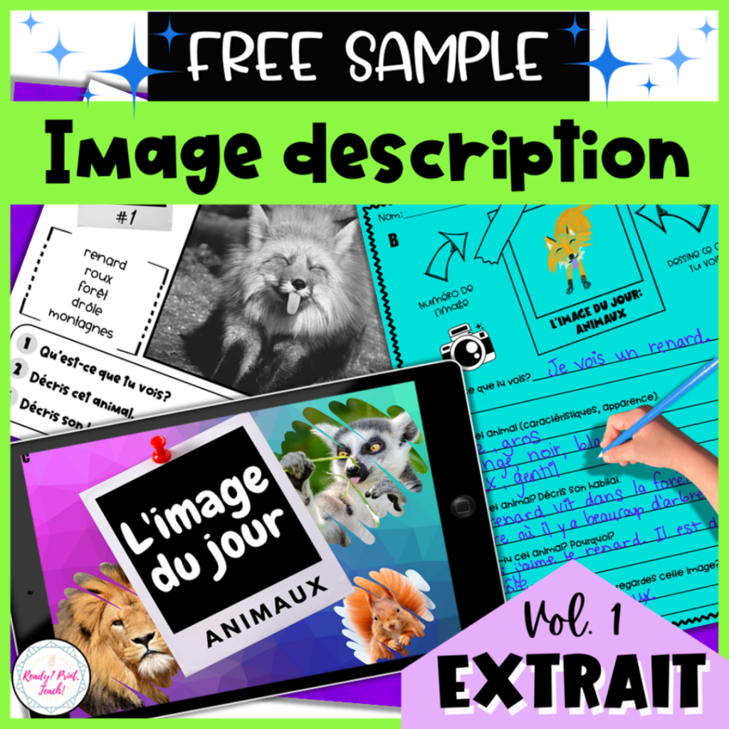 French Image Observation Discussion Prompts Description Sentences French Image Observation Discussion Prompts Description Sentences