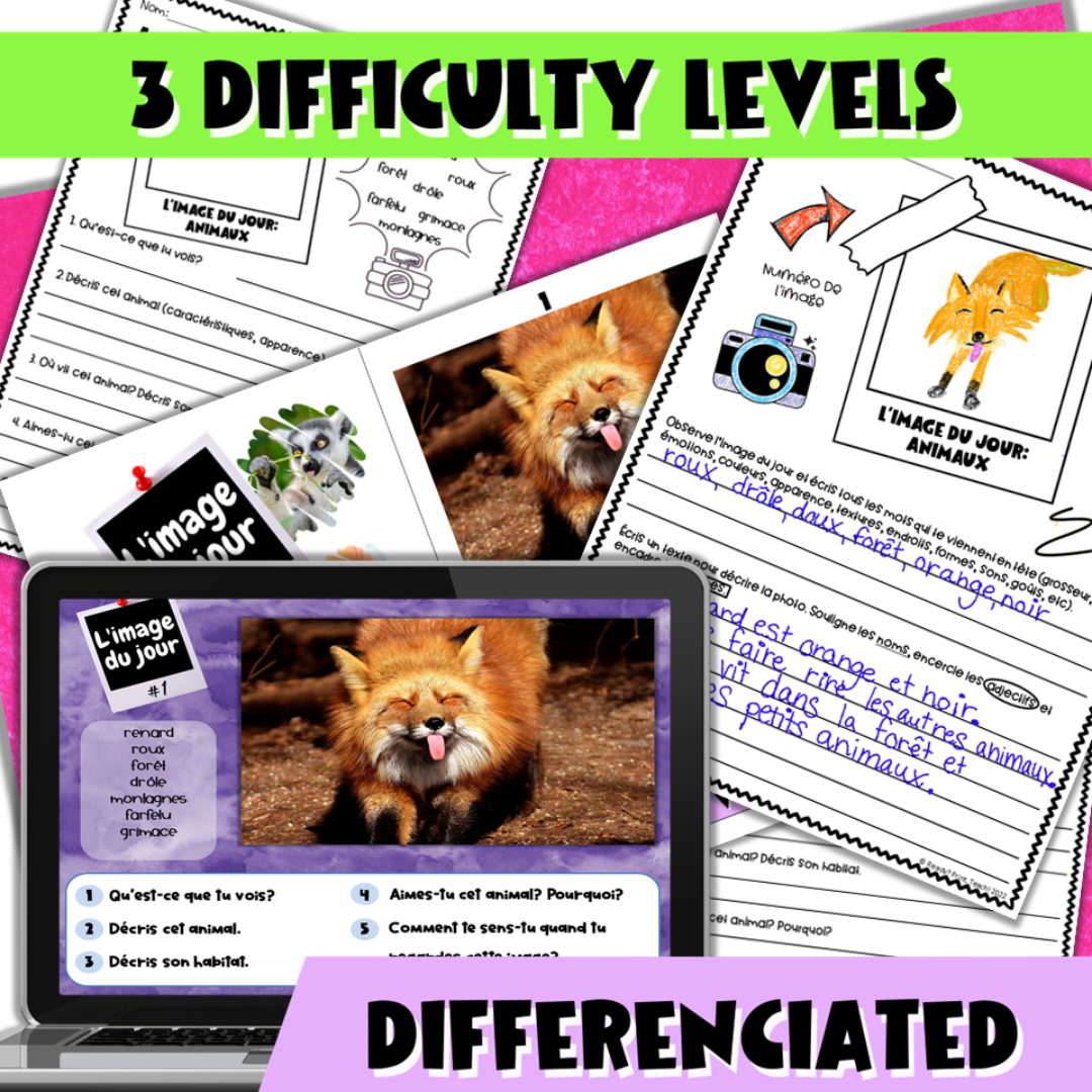 French image Observation Discussion Prompts Description Sentences ...