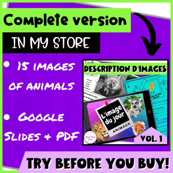 French image Observation Discussion Prompts Description Sentences ...