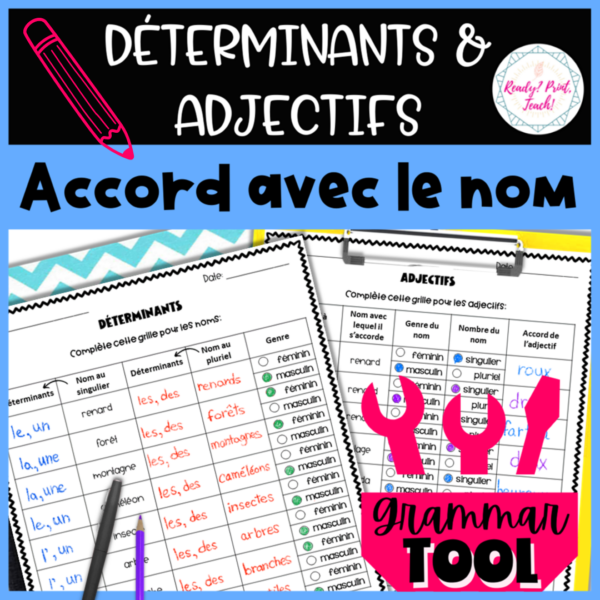 French Sentence Building Editable worksheets Gender number nouns ...