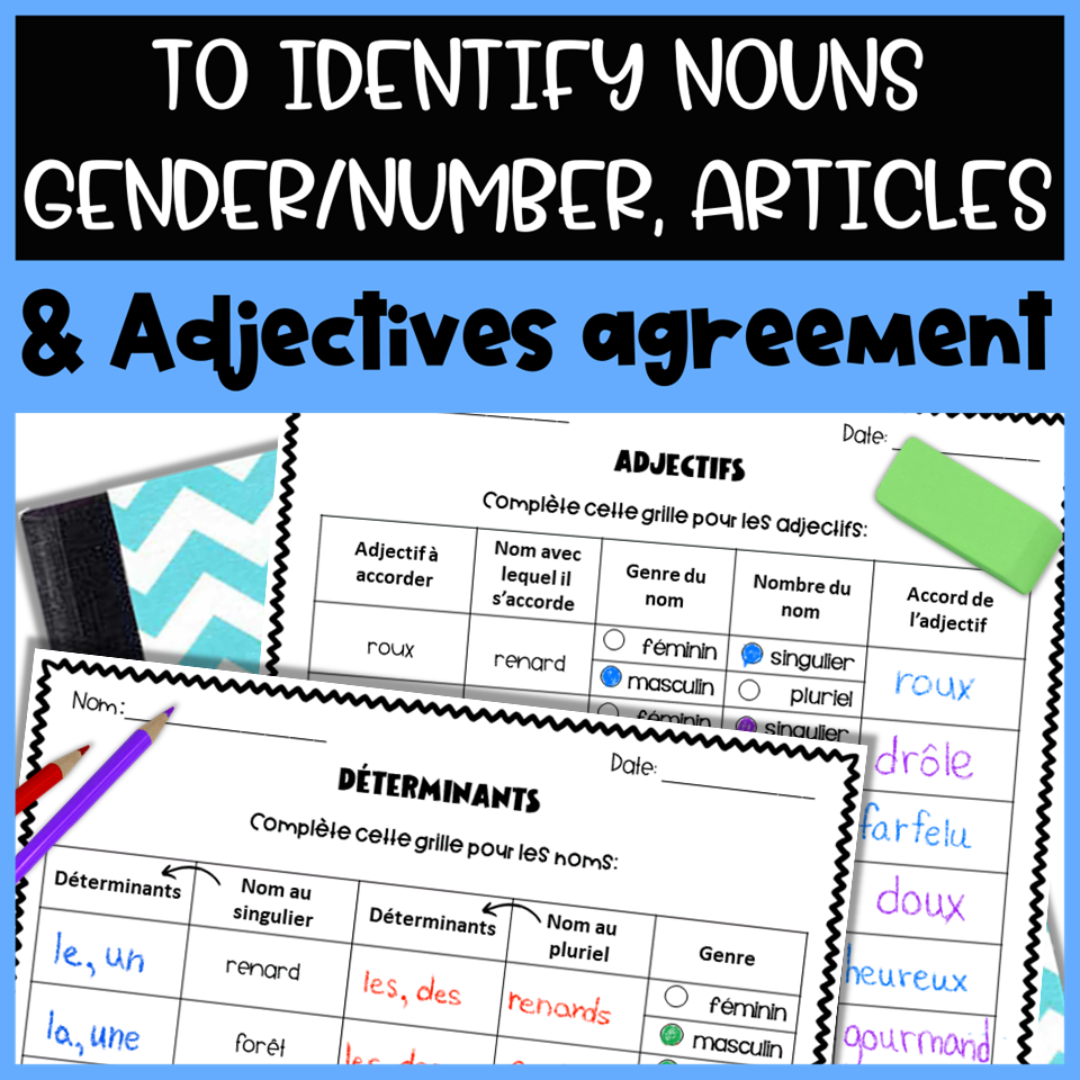 French Sentence Building Editable worksheets Gender number nouns ...
