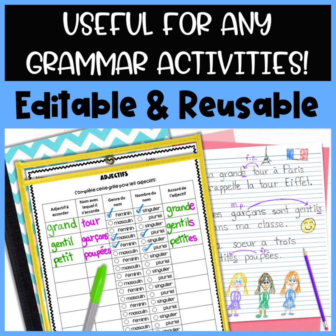 French Sentence Building Editable worksheets Gender number nouns ...