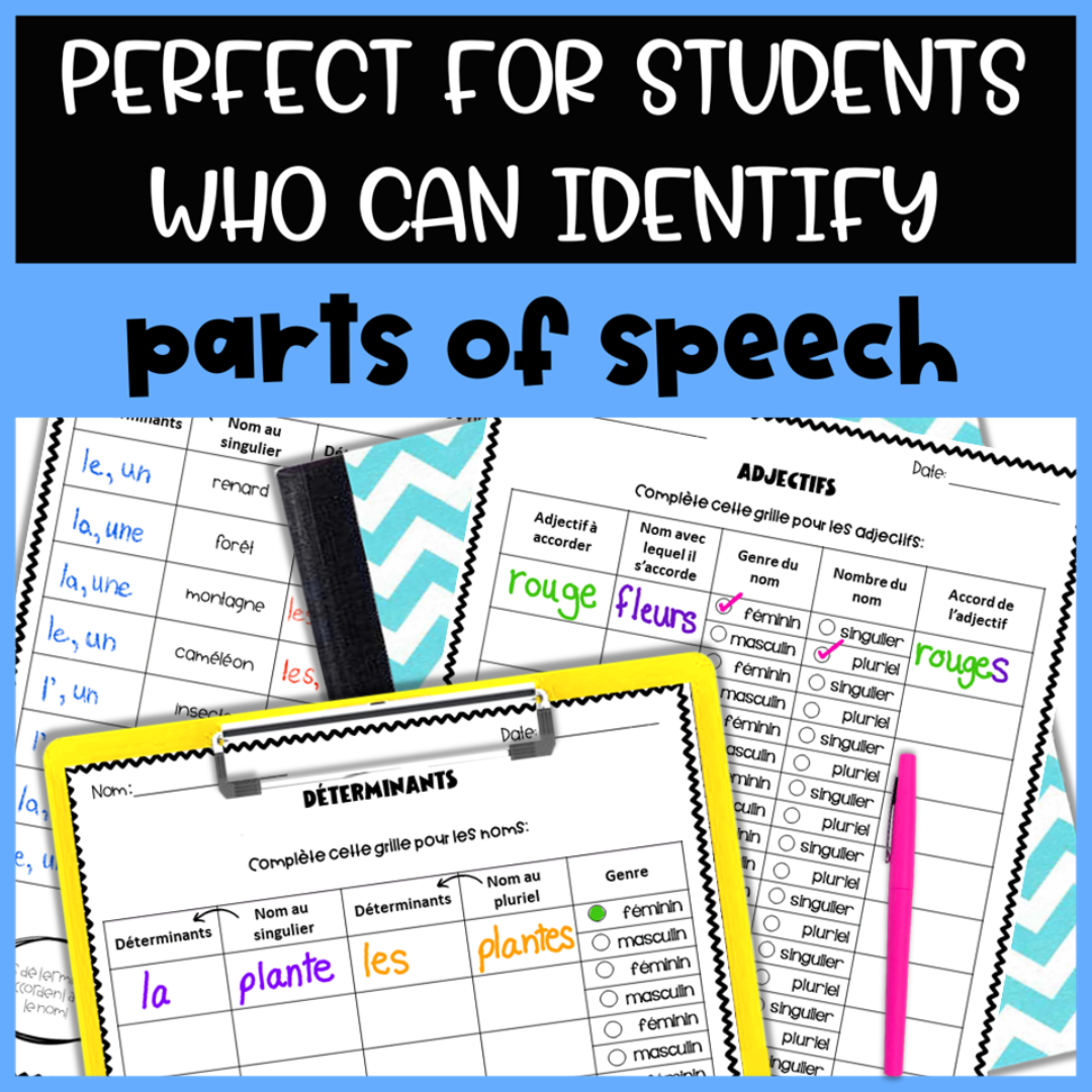 French Sentence Building Editable worksheets Gender number nouns ...