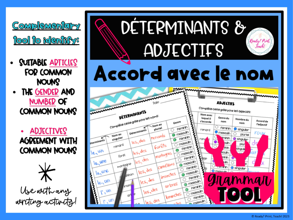 French Sentence Building Editable worksheets Gender number nouns ...