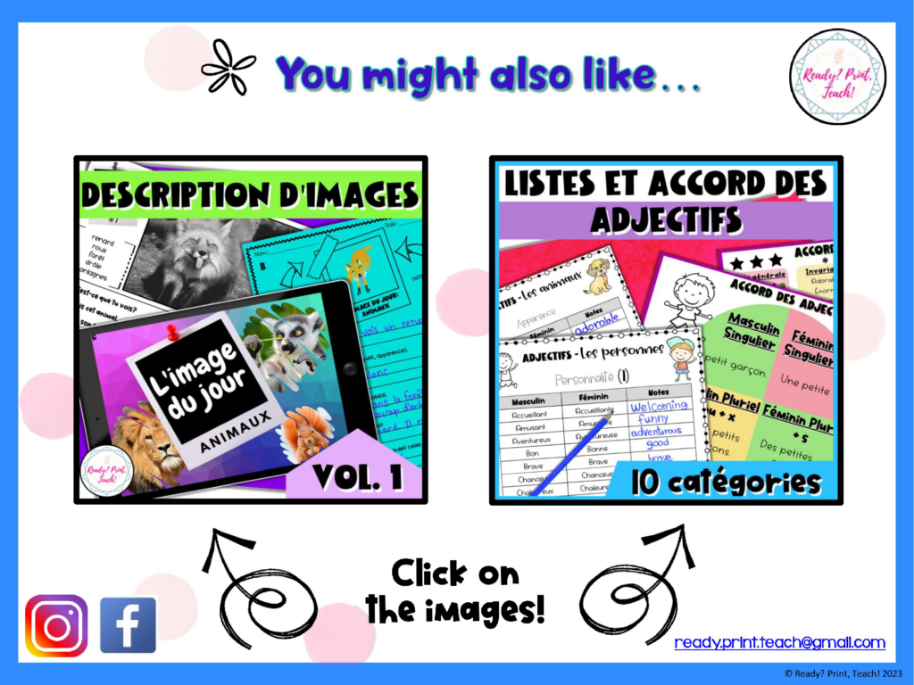 French Sentence Building Editable worksheets Gender number nouns ...