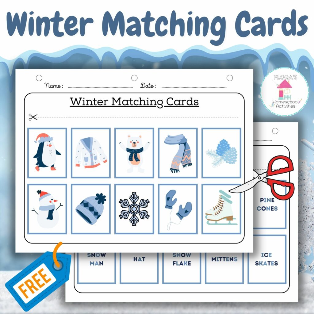 Winter Matching Cards | New Year 2023 activities for Homeschool, K ...