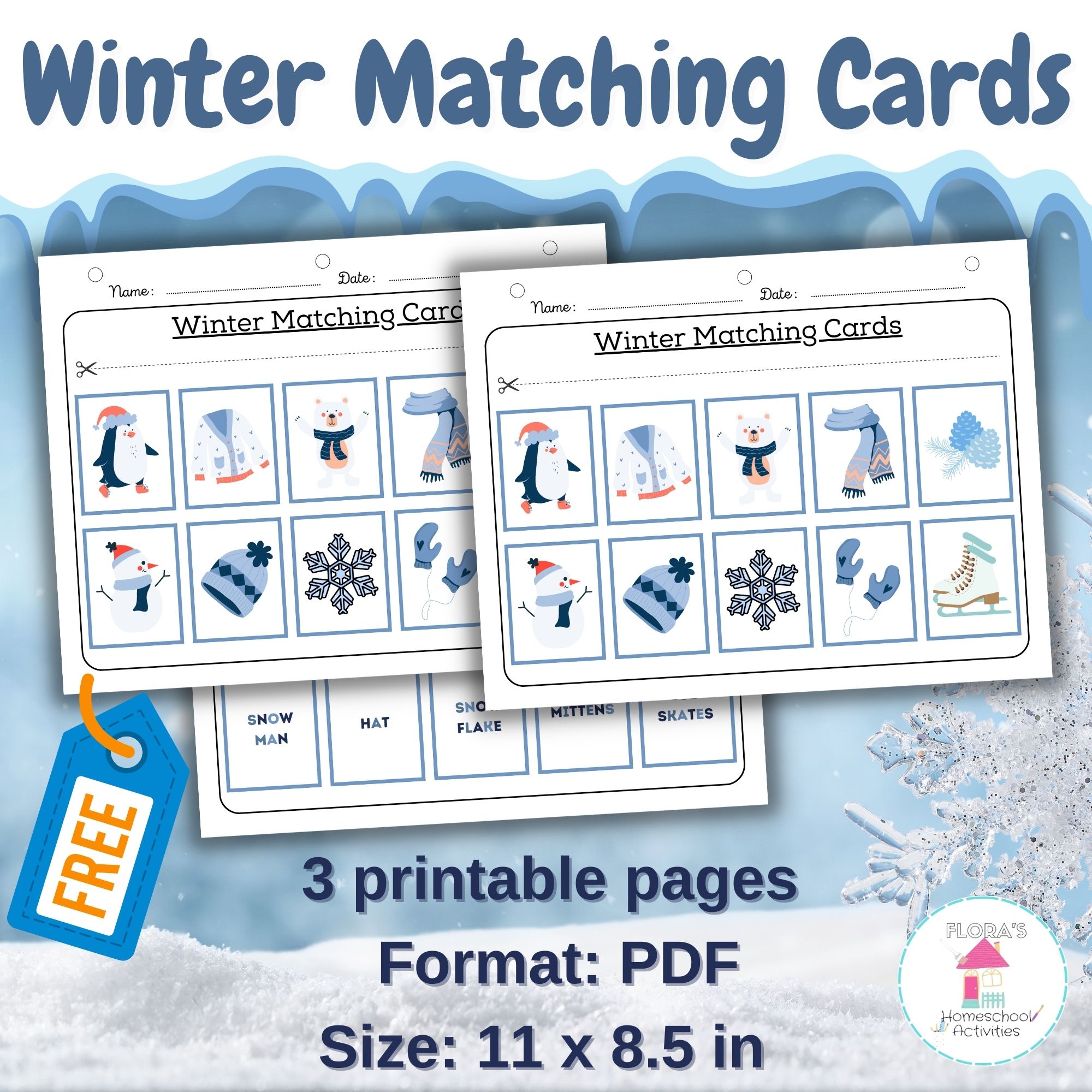 Winter Matching Cards | New Year 2023 activities for Homeschool, K ...