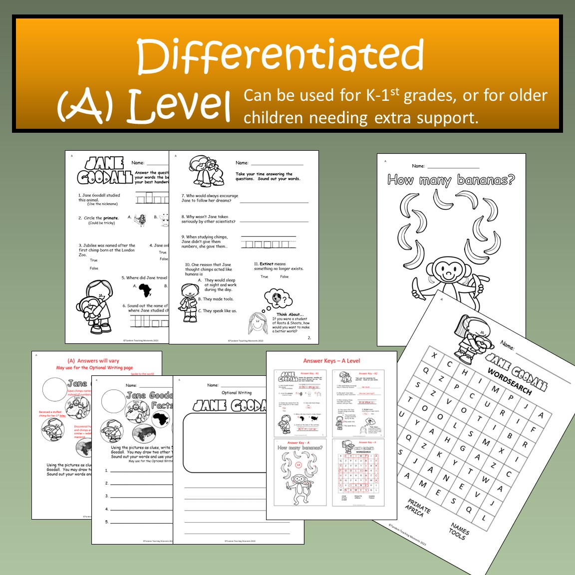 Jane Goodall K-3rd Teaching Video & Worksheets | Made By Teachers