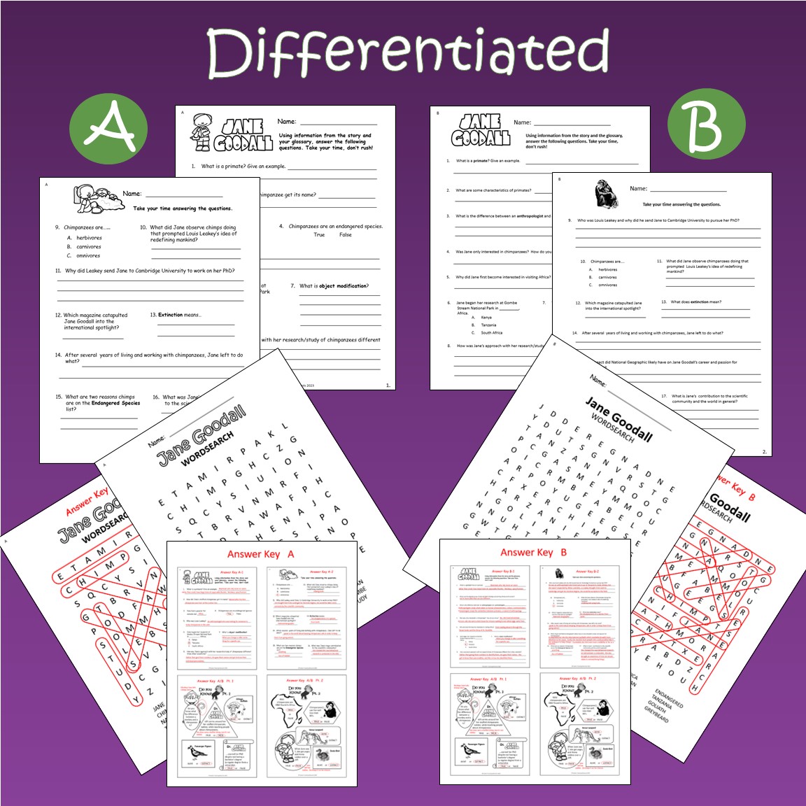 Jane Goodall 4th-6th Teaching Video & Worksheets | Made By Teachers