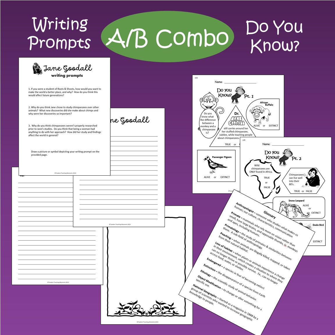 Jane Goodall 4th-6th Teaching Video & Worksheets | Made By Teachers