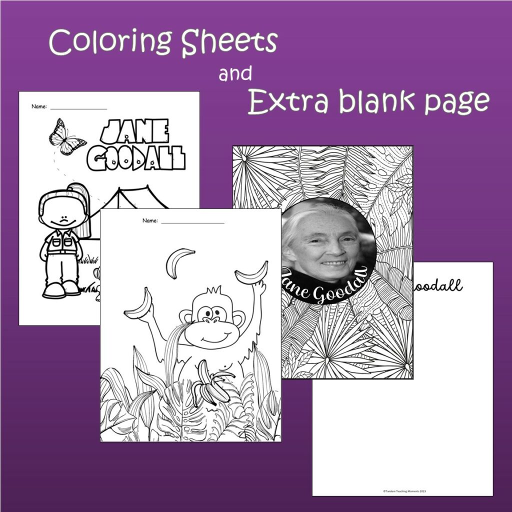 Jane Goodall 4th-6th Teaching Video & Worksheets | Made By Teachers