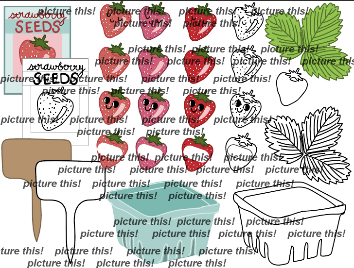 Cute Strawberry Clipart Set Bulletin Board Elementary Spring Clip Art ...