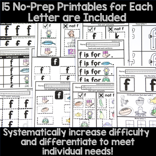 Alphabet Letters and Sounds Worksheets and Centers for Special ...