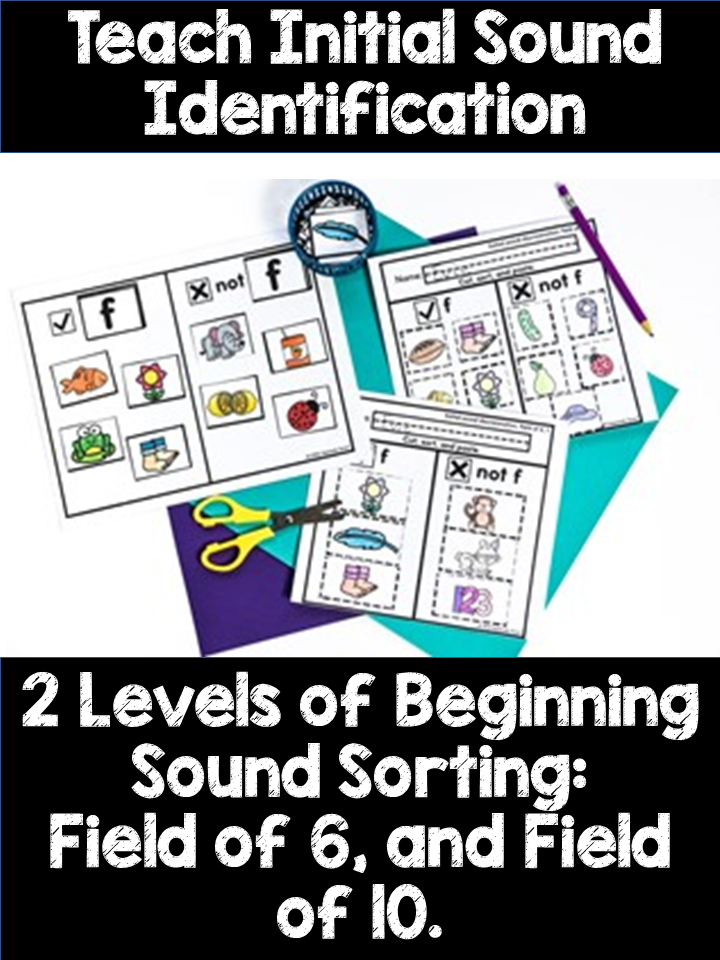 Alphabet Letters and Sounds Worksheets and Centers for Special ...