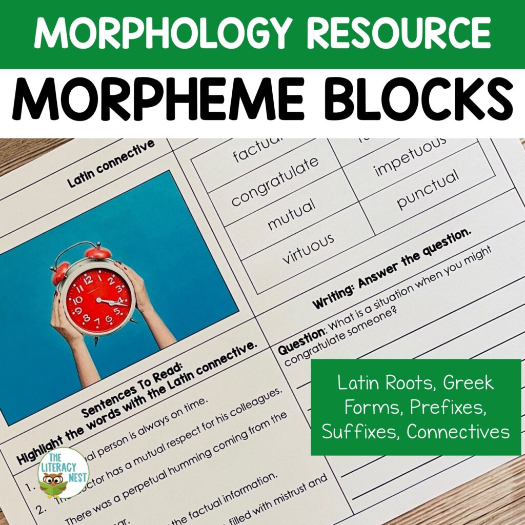 Morphology Activities Prefixes, Suffixes, Roots, Greek Forms | Made By ...