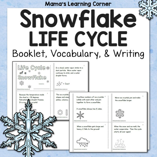 Snowflake Life Cycle Booklet | Made By Teachers