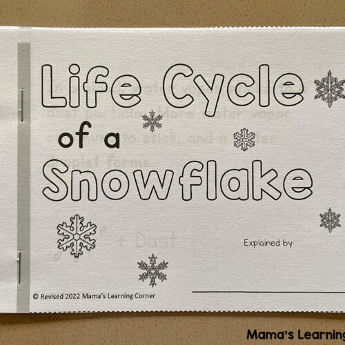 Snowflake Life Cycle Booklet | Made By Teachers