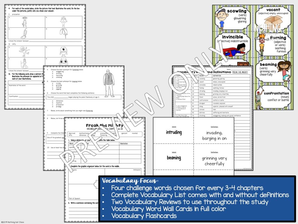 Freak the Mighty Novel Study Unit | Comprehension with Activities and ...