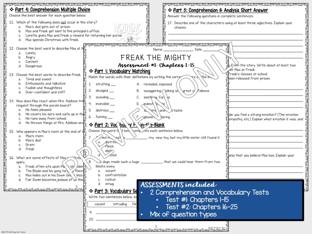Freak the Mighty Novel Study Unit | Comprehension with Activities and ...
