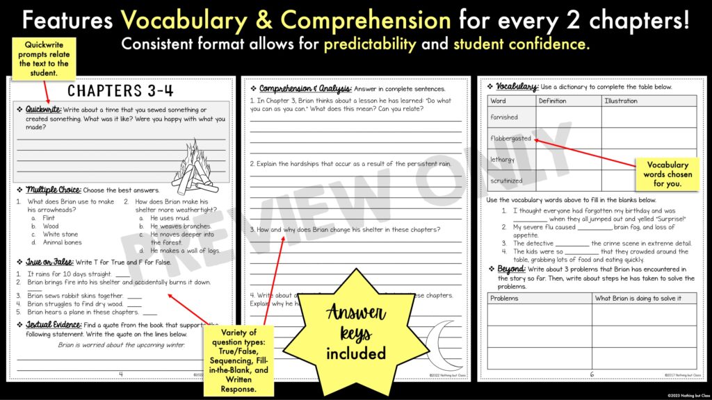 Brian's Winter Novel Study Unit | Comprehension with Activities and ...