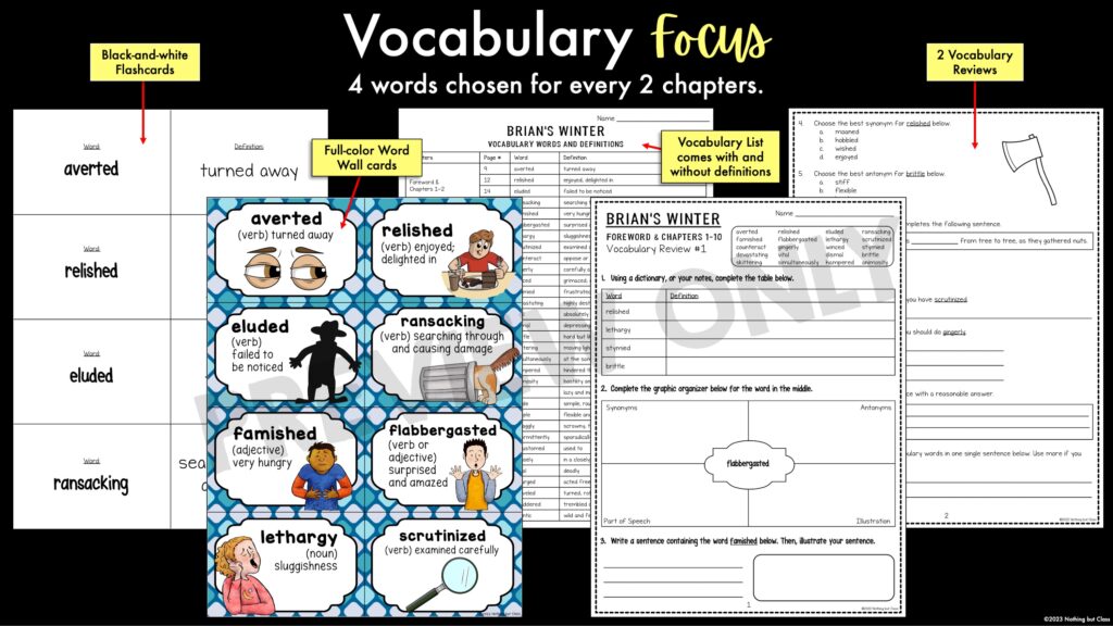 Brian's Winter Novel Study Unit | Comprehension with Activities and ...