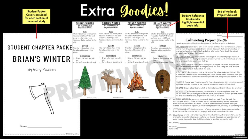 Brian's Winter Novel Study Unit | Comprehension with Activities and ...