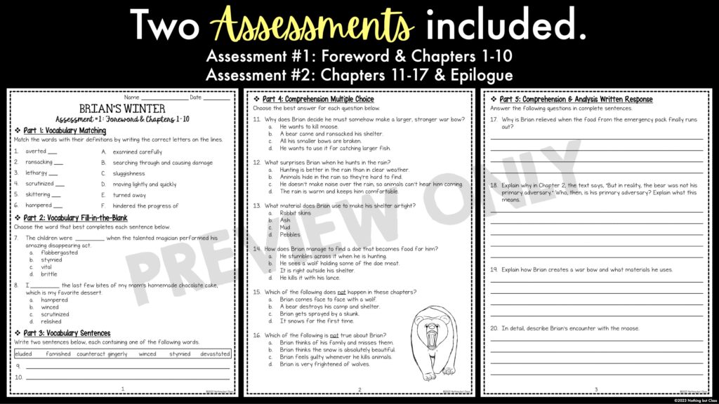 Brian's Winter Novel Study Unit | Comprehension with Activities and ...