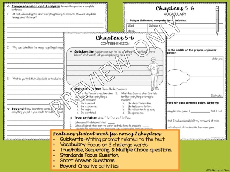 The Chocolate Touch Novel Study Unit | Comprehension with Activities ...